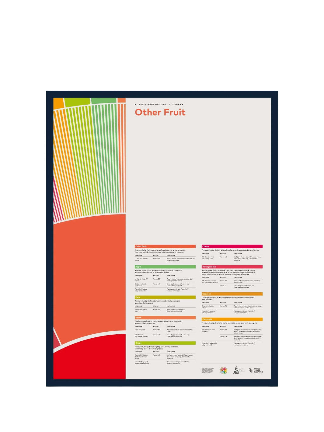 SCA Flavour Perception in Coffee Poster (Other Fruit) – Eight Ounce Coffee