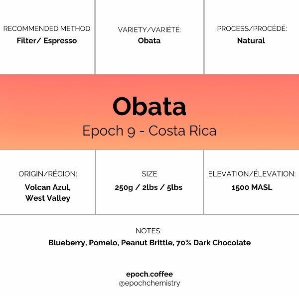 ACME Spoon (Brushed) – Eight Ounce Coffee