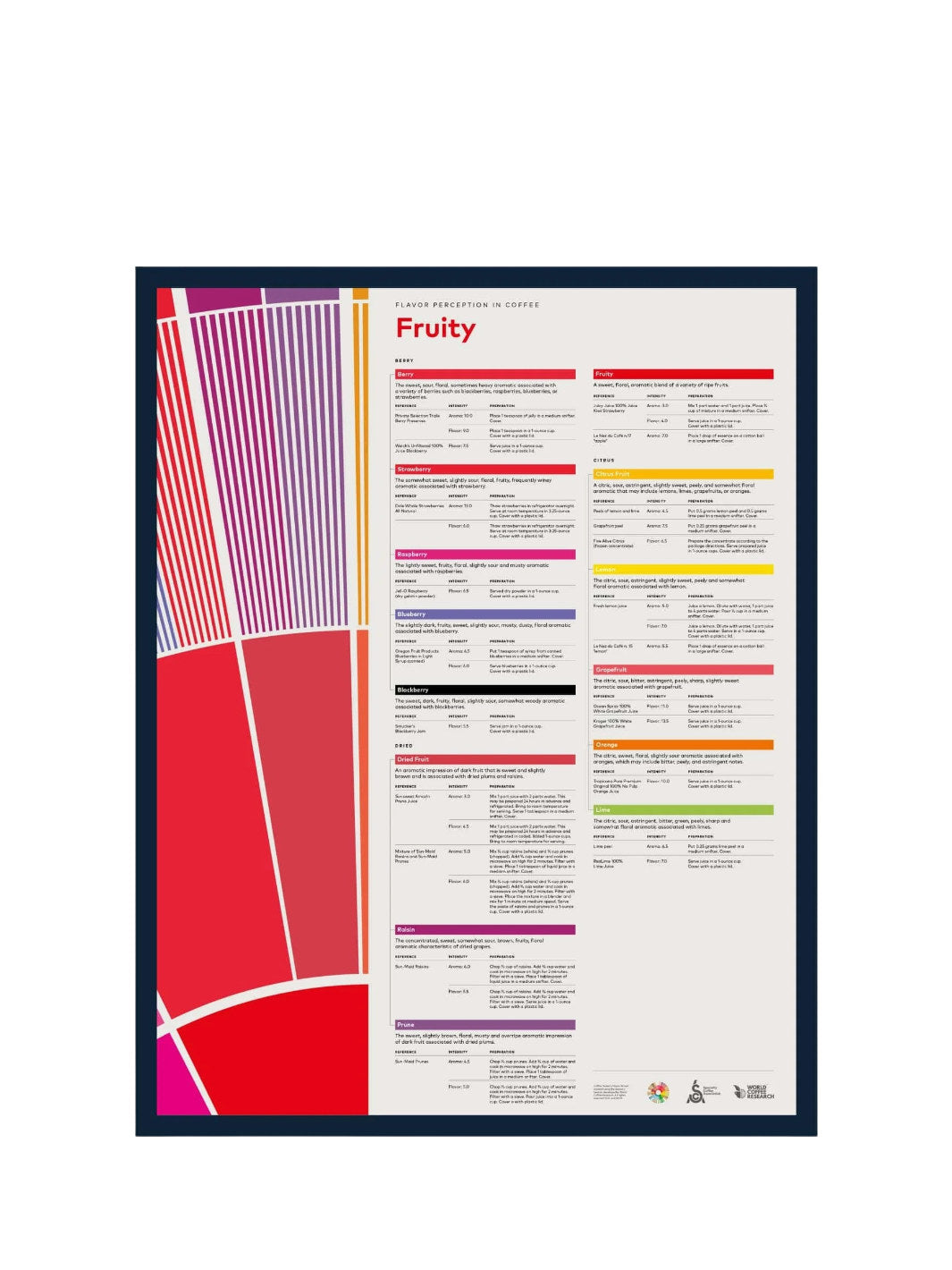 SCA Flavour Perception in Coffee Poster (Fruity) – Eight Ounce Coffee