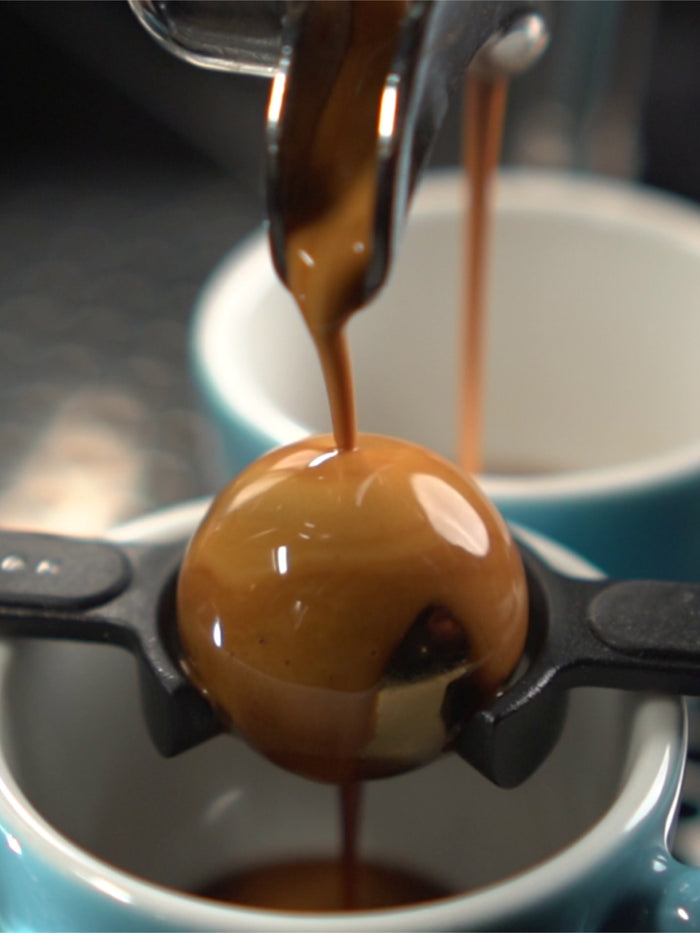 NUCLEUS Paragon Espresso – Eight Ounce Coffee