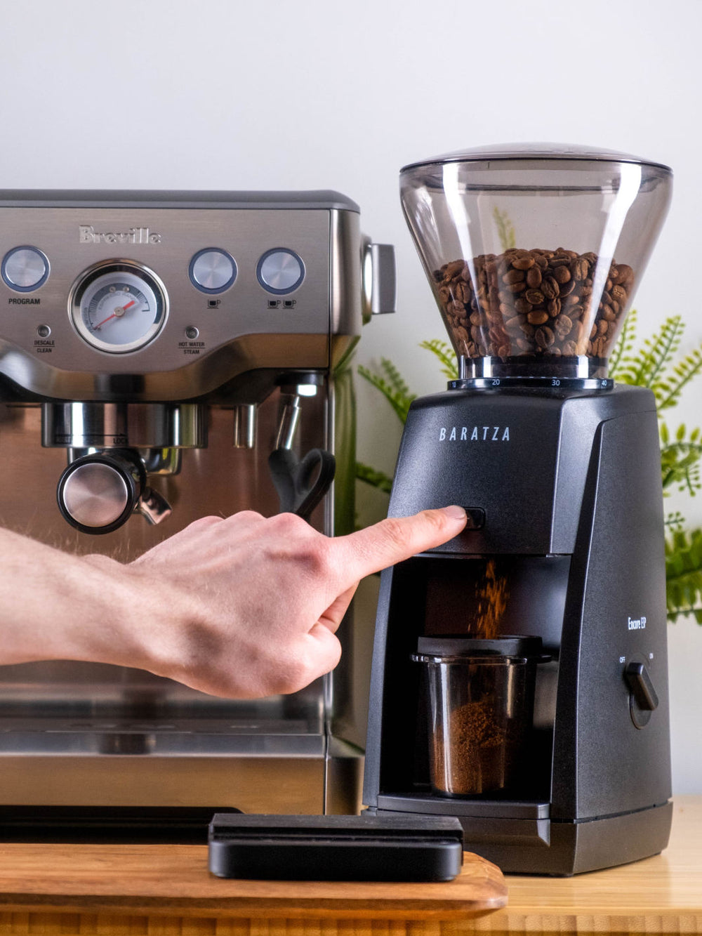 BARATZA Encore ESP Coffee Grinder (120V) – Eight Ounce Coffee