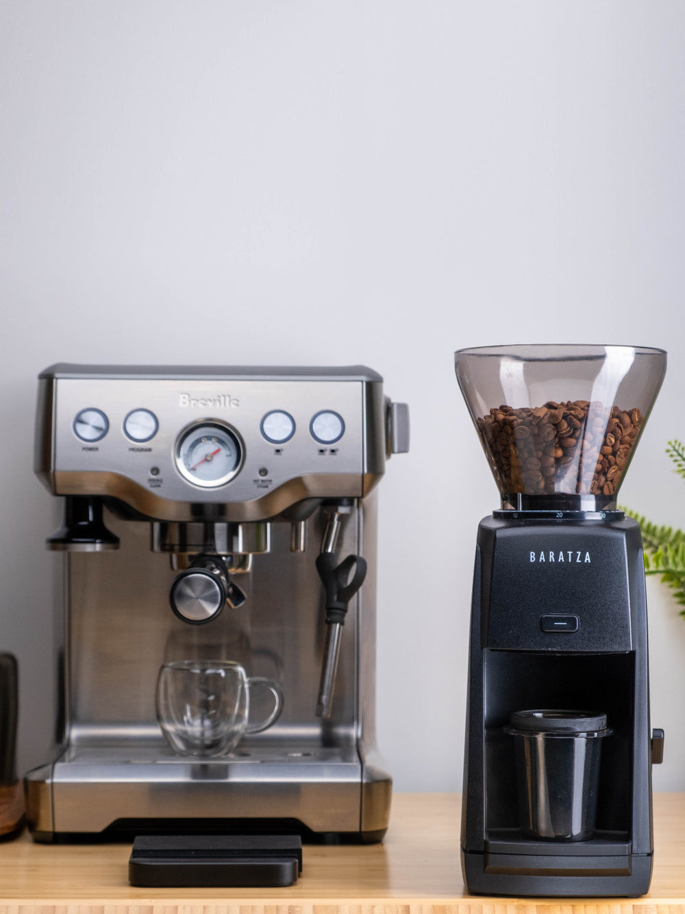BARATZA Encore ESP Coffee Grinder (120V) – Eight Ounce Coffee