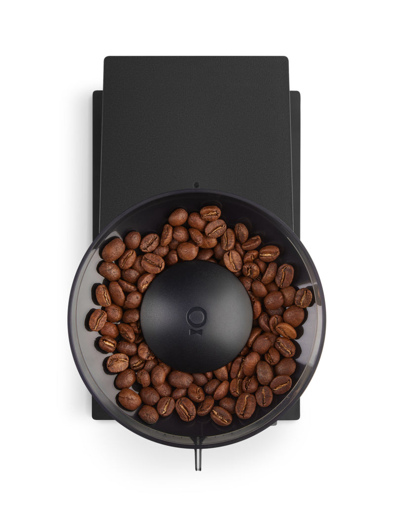 FELLOW Opus All-Purpose Grinder (120V) – Eight Ounce Coffee