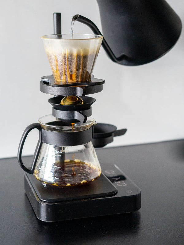 NUCLEUS Paragon – Eight Ounce Coffee